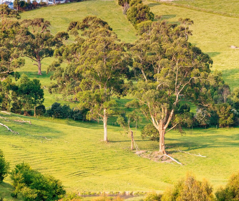 What We Do - Allwright Bourke