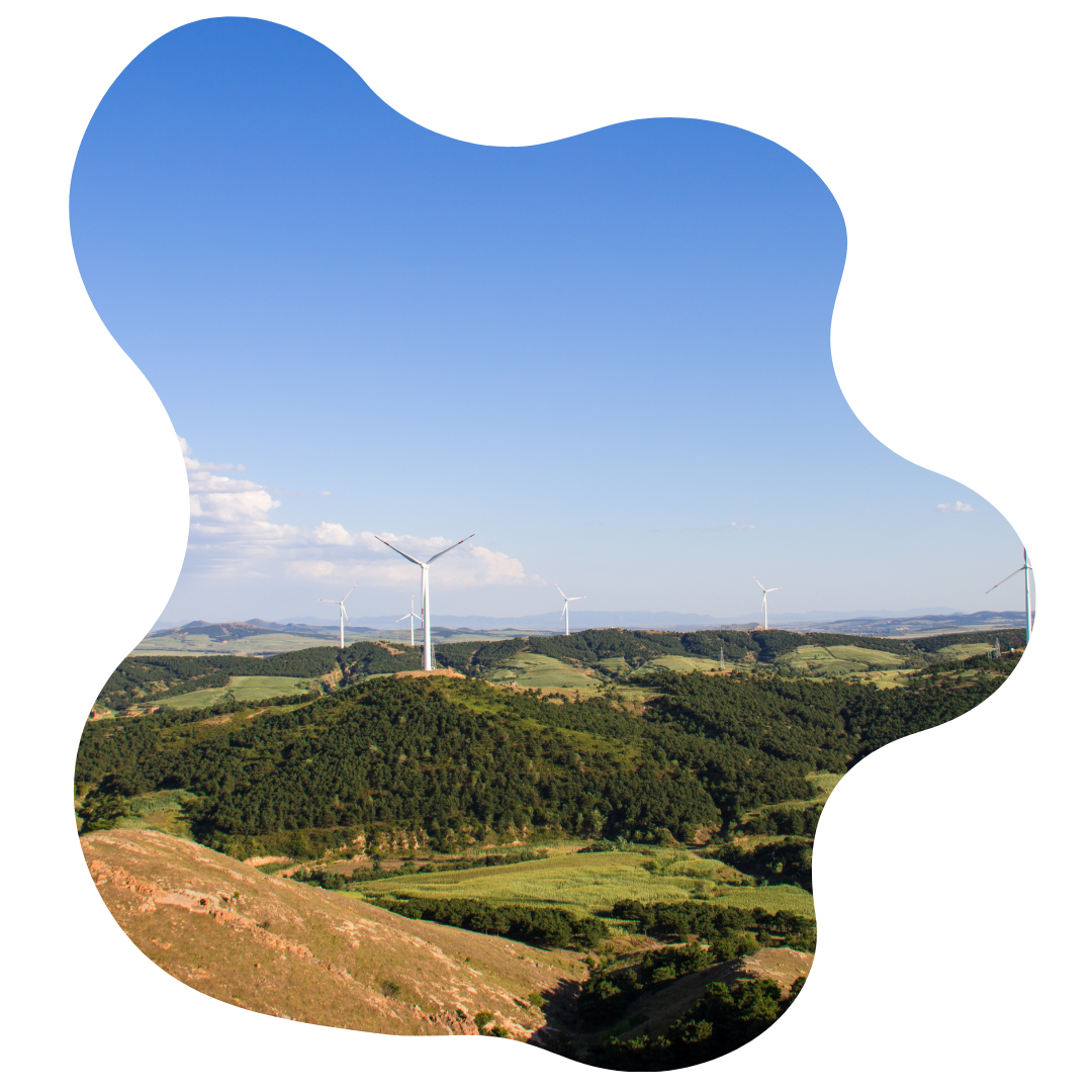 What We Do - Allwright Bourke